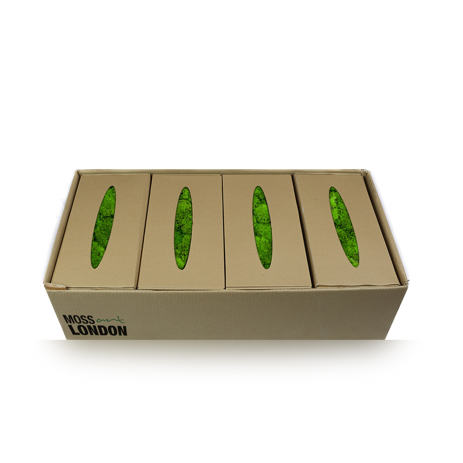 Preserved Ball Moss – 8 Window Box – Moss Art London | Preserved Moss ...
