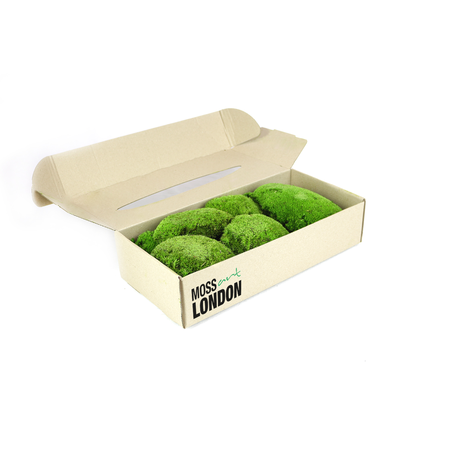 Preserved Ball Moss – 8 Window Box – Moss Art London | Preserved Moss ...