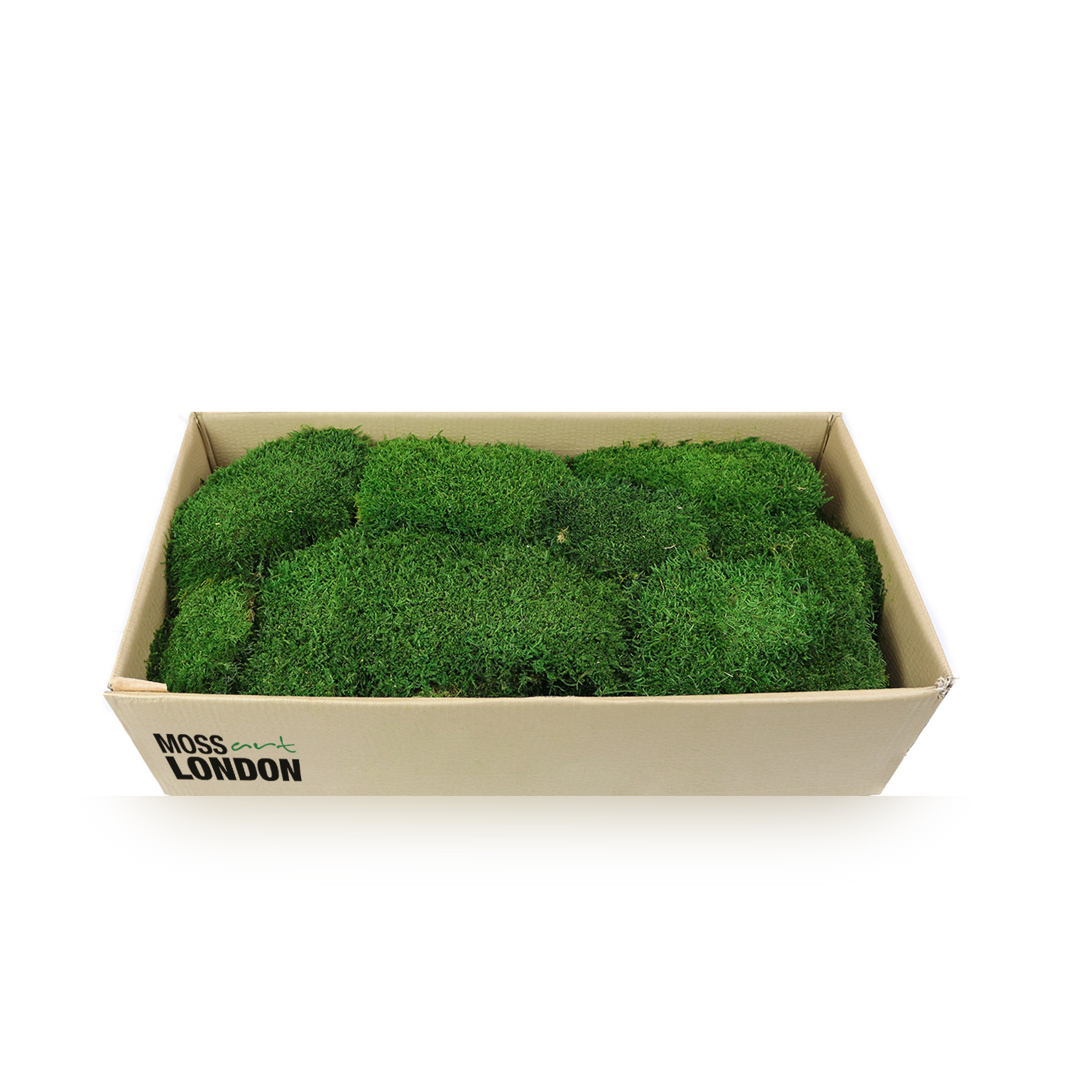 Preserved Flat Moss 2.5 Kg – Moss Art London | Preserved Moss, Forest ...